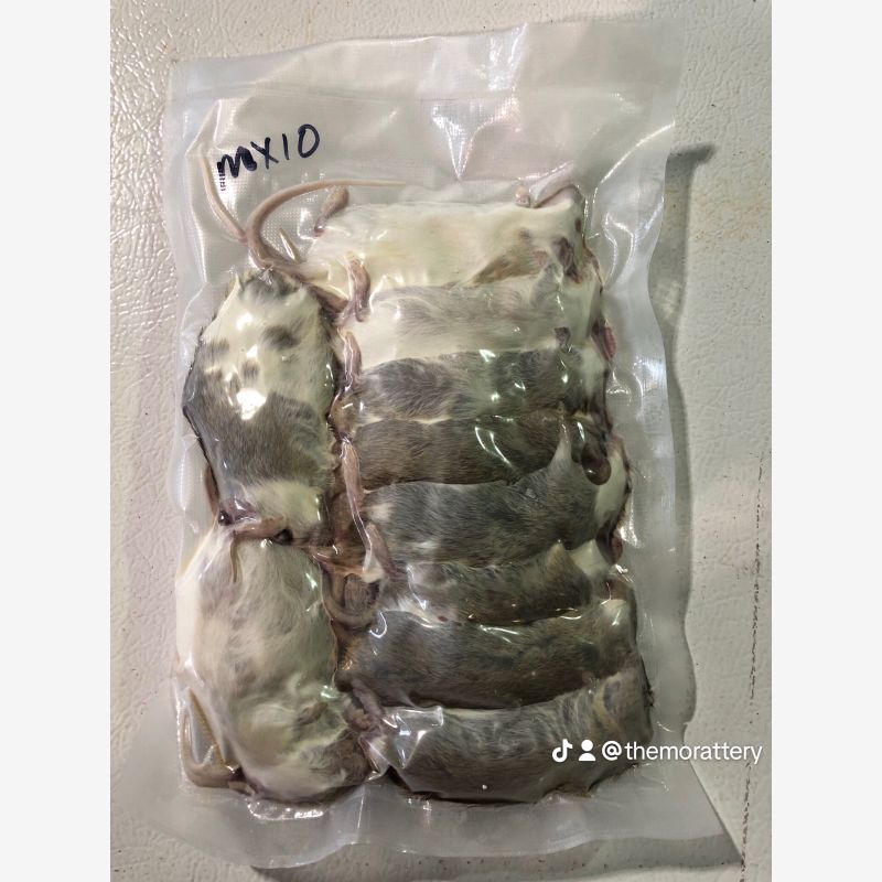 Feeders For Sale - Educational Reptile Events, Shows, and Expos