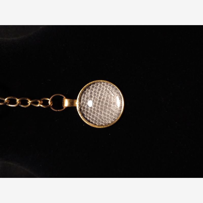 Art For Sale - Educational Reptile Events, Shows, and Expos