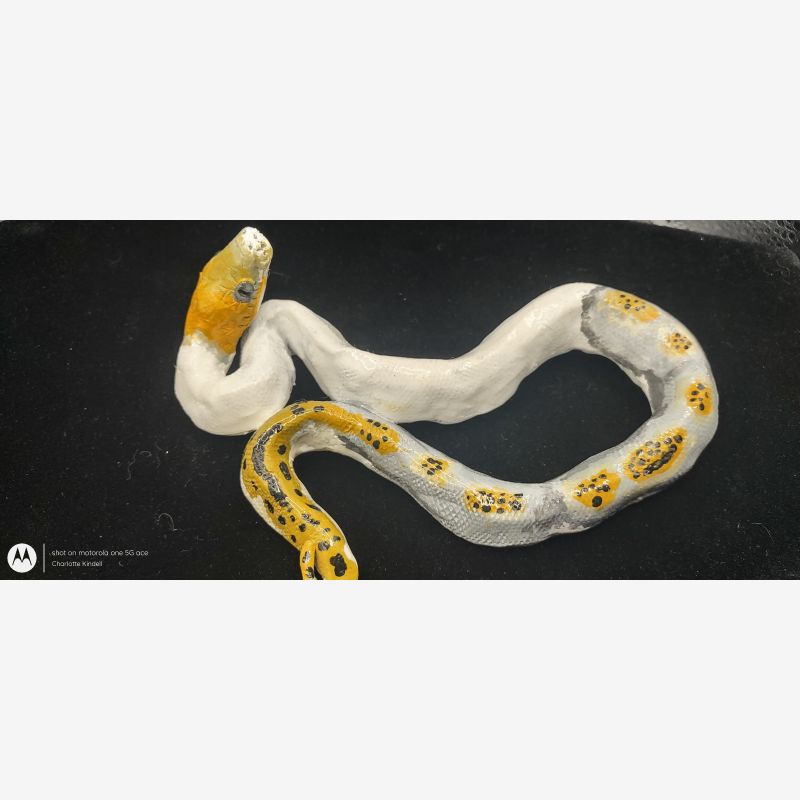 Art For Sale - Educational Reptile Events, Shows, and Expos