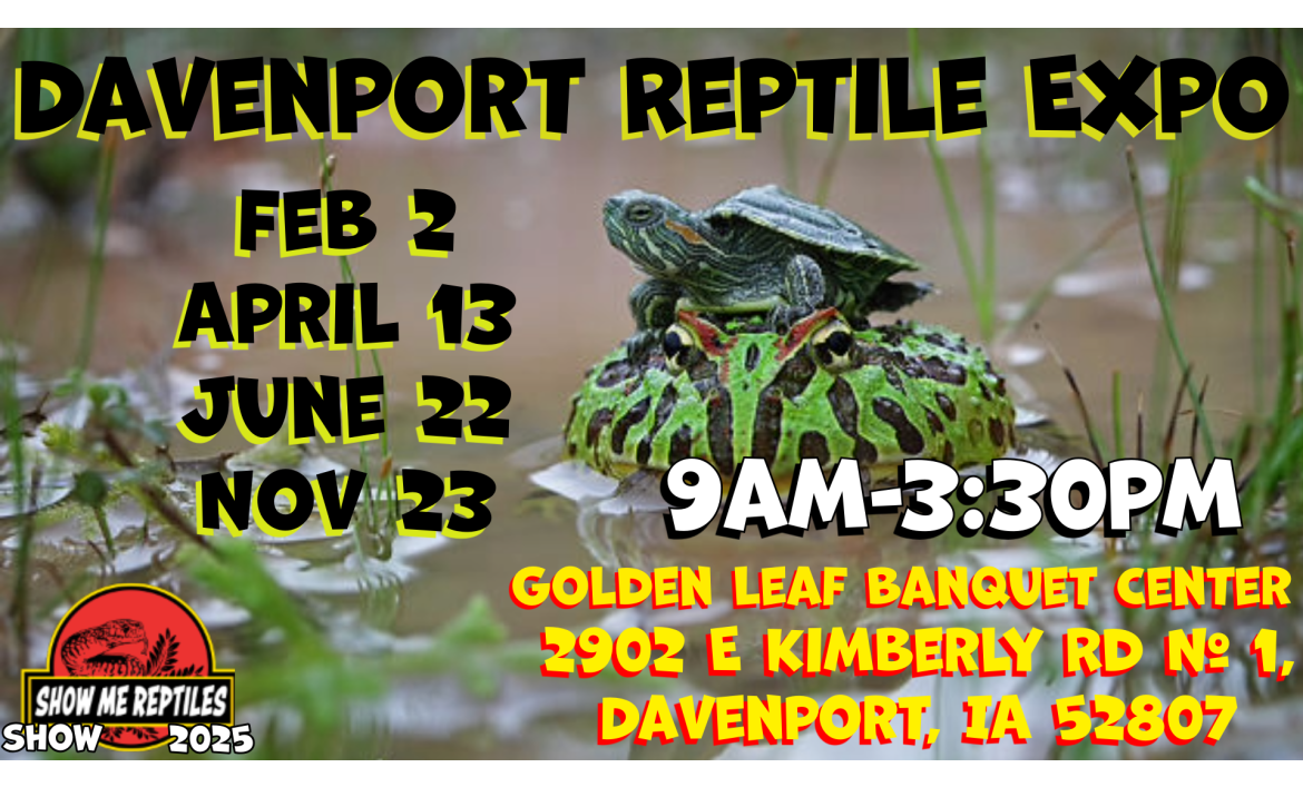 Reptile Shows - Reptiles for Sale, Shows, and Expos