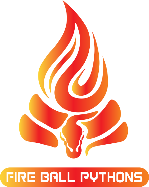 Fire Ball Pythons - Reptiles for Sale, Shows, and Expos