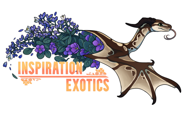 Bloomington Illinois Reptile Show - Reptiles for Sale, Shows, and Expos