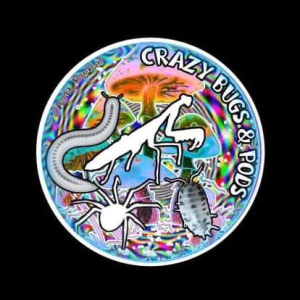 Crazy Bugs & Pods - Reptiles for Sale, Shows, and Expos